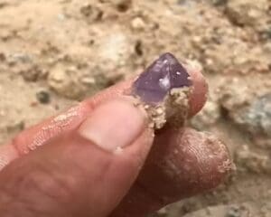 GEORGIA ⋆ The Crystal Collector